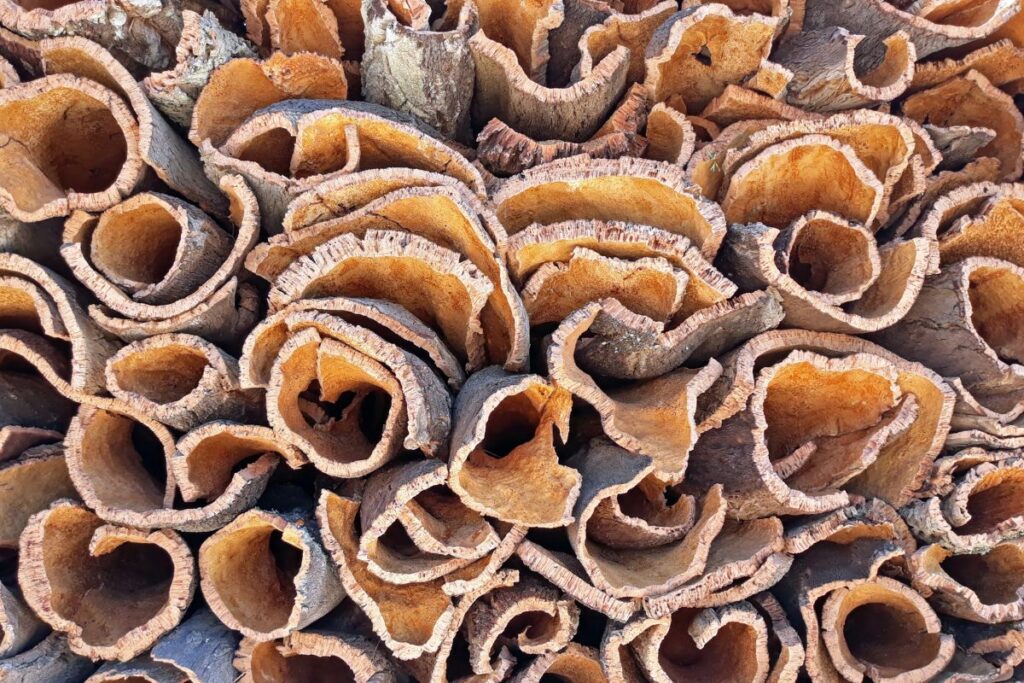 Il sughero, materiale performante, ecologico e sostenibile ...